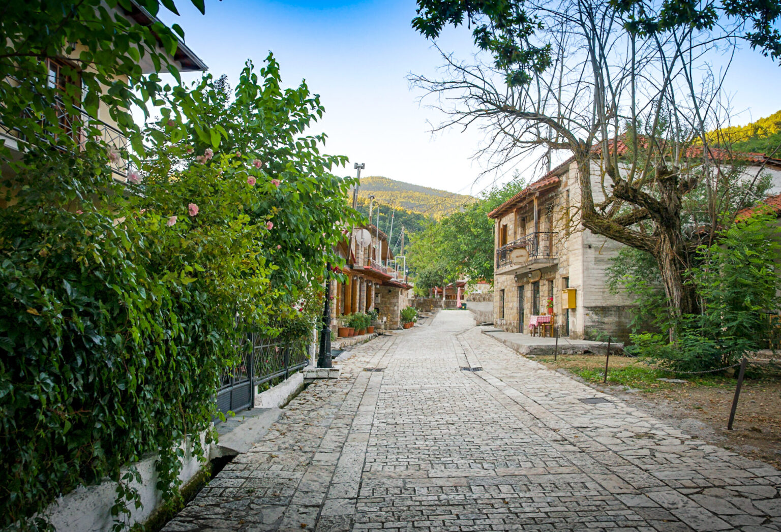 ΕΚΔΡΟΜΕΣ - KOTSIRIS TRAVEL